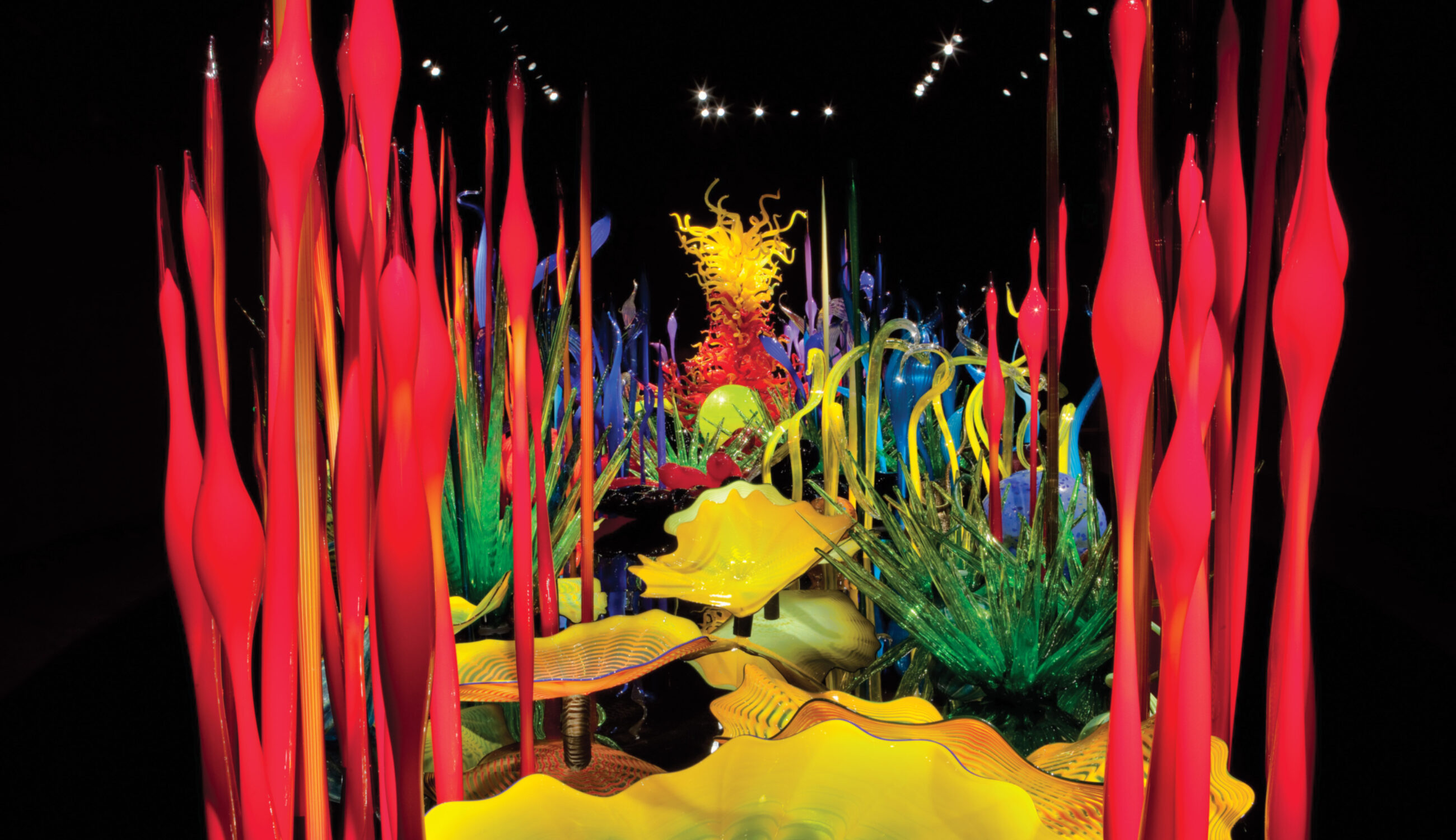 Chihuly Garden and Glass | The Galleries