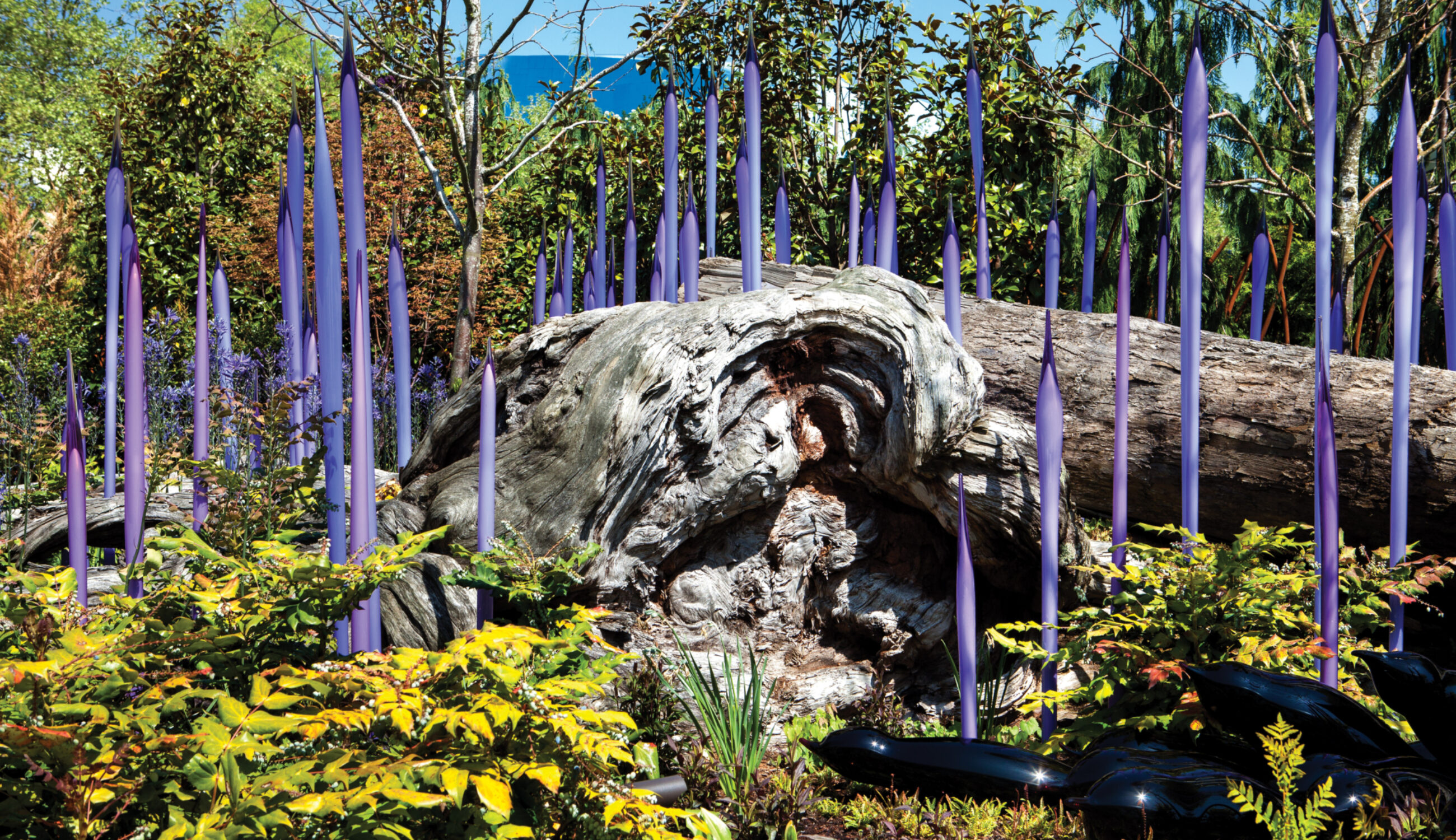 Chihuly Garden and Glass | The Garden